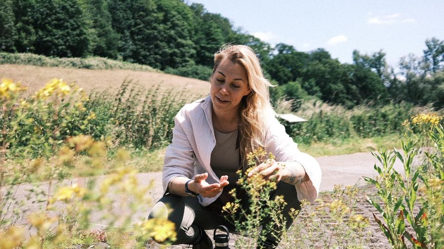 Nature Journaling in Leverkusen | konfetti